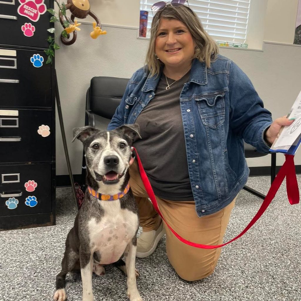 Meet Heather Rice | Founder and President of Lucky Penny Rox Rescue ...